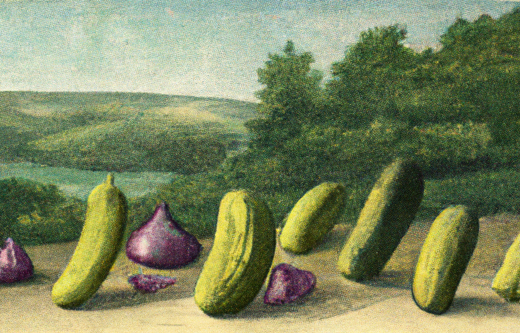 Through the Pages of History: Unveiling the Top 10 Historical Pickle ...